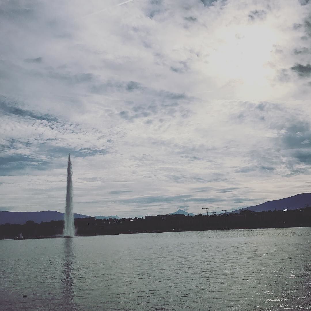 Photo – My Office Diet