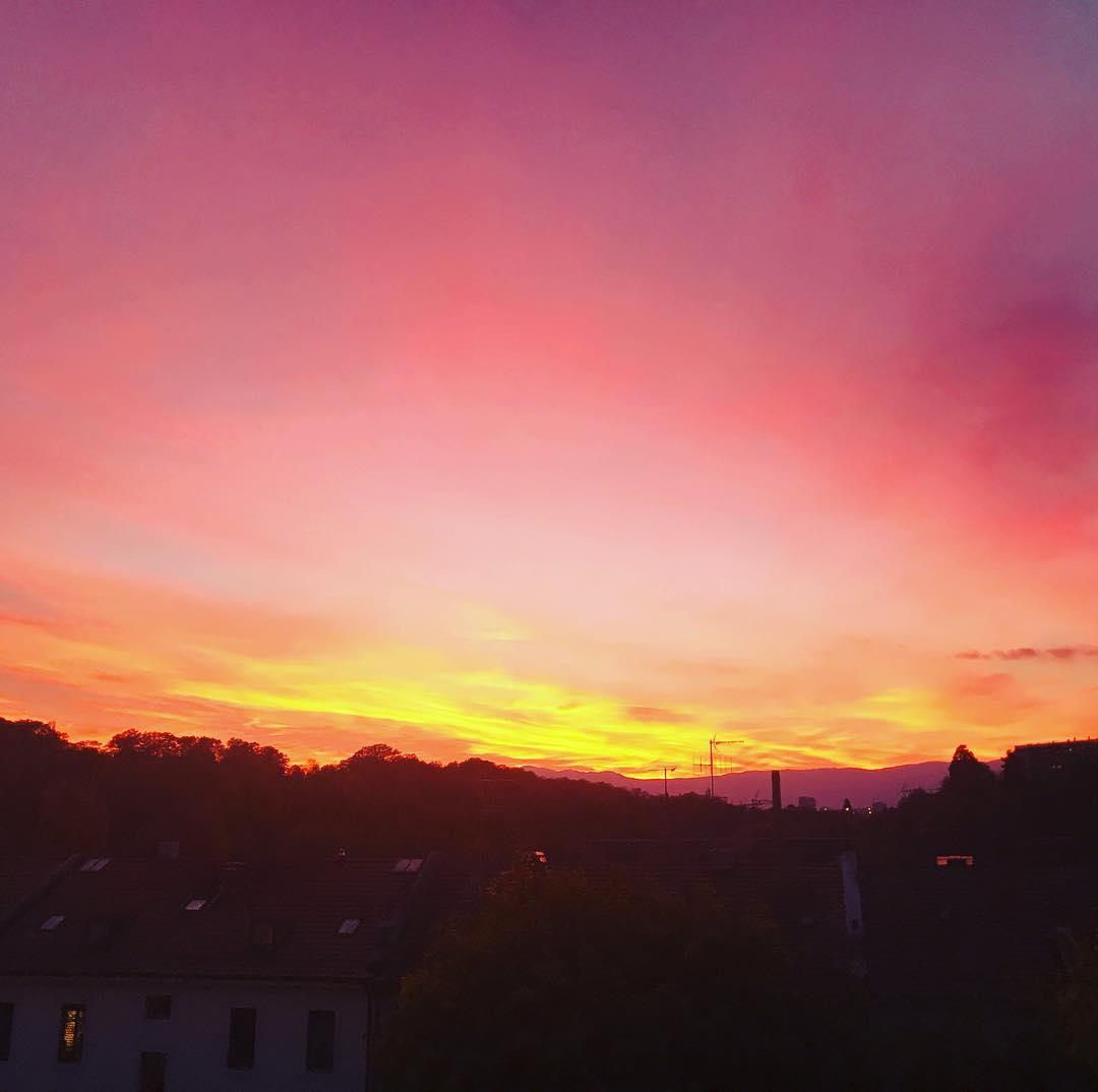 Photo – My Office Diet